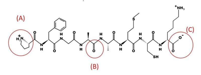 Makromolekyl (Kemi/Universitet) – Pluggakuten