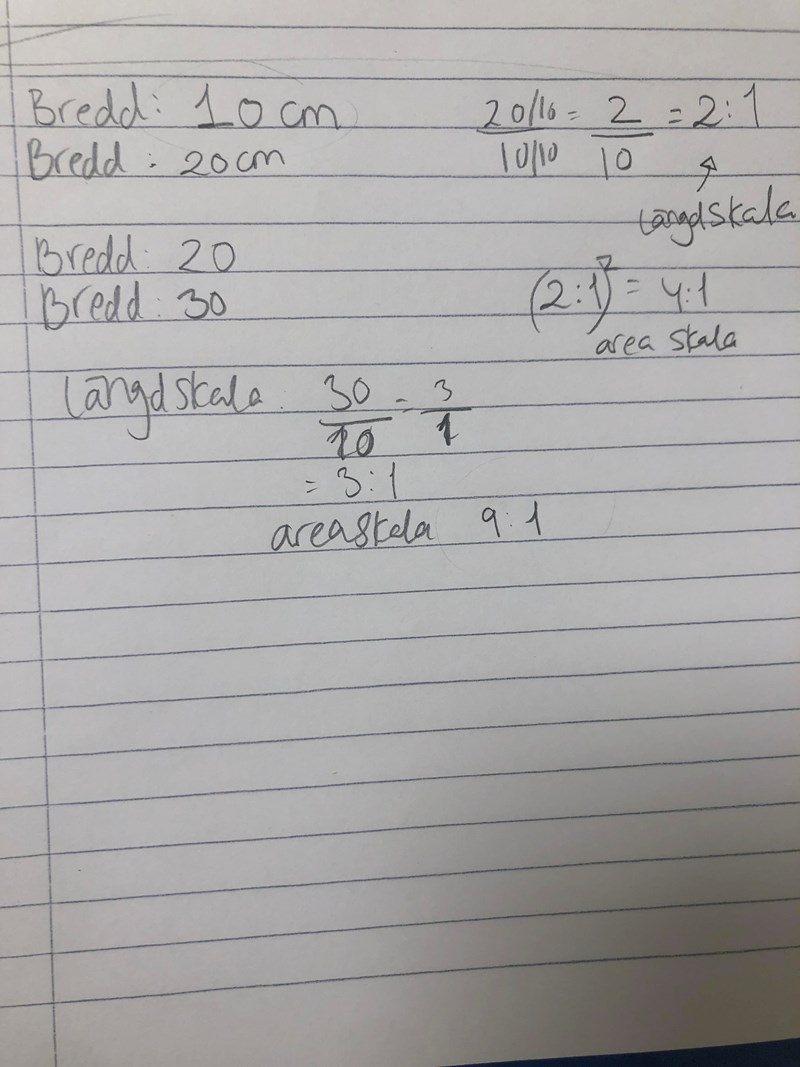 Har jag tänkt rätt? Skala (Matematik/Matte 1/Geometri) – Pluggakuten