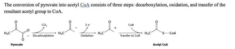 Vad är det som fattas i min reaktionsformel? (Kemi/Kemi 2) – Pluggakuten