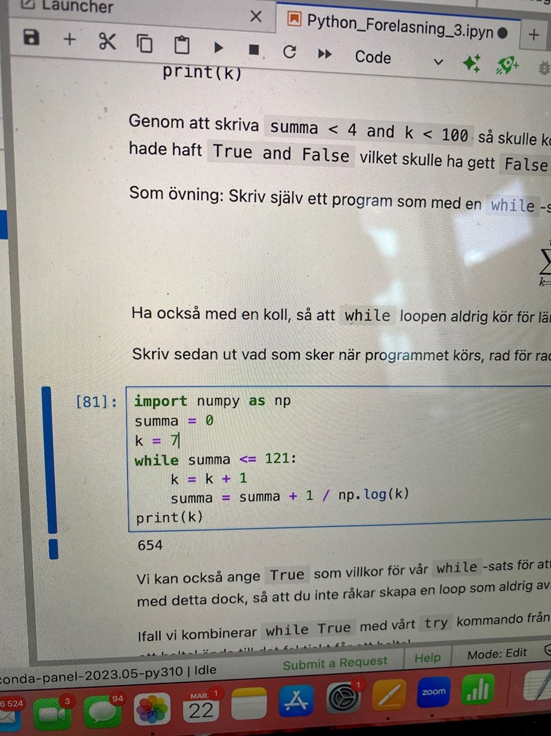 summa (Programmering/Python) – Pluggakuten