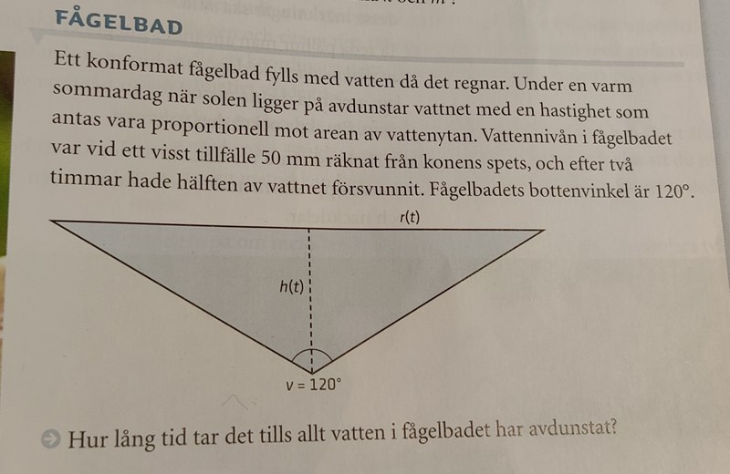Fågelbad origo 5 (Matematik/Matte 5) – Pluggakuten