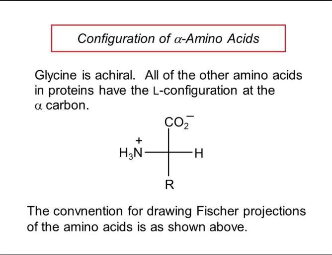 Fischer projection formula för aminosyror (Kemi/Universitet) – Pluggakuten