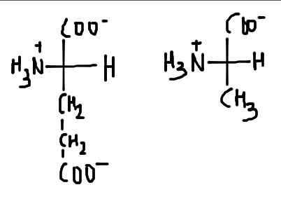 Fischer projection formula för aminosyror (Kemi/Universitet) – Pluggakuten