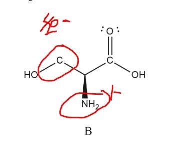 kovalent bindning (Kemi/Kemi 1) – Pluggakuten