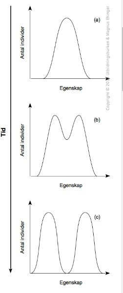 Evolution i figuren (Biologi/Biologi 1) – Pluggakuten