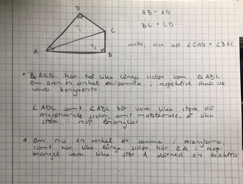 motivera bisektris i triangel (Matematik/Universitet) – Pluggakuten