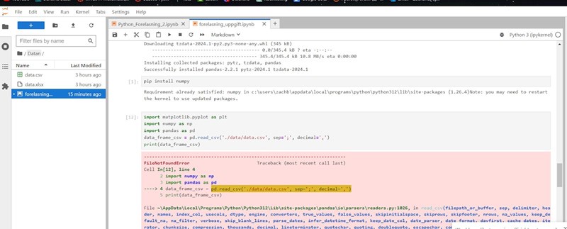 Varför hittar den inte filen? (Programmering/Python) – Pluggakuten