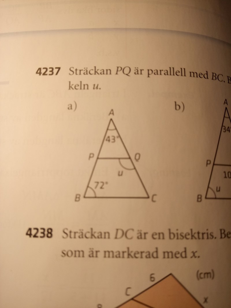 Motstående vinklar=180 grader? (Matematik/Matte 2/Logik och geometri ...
