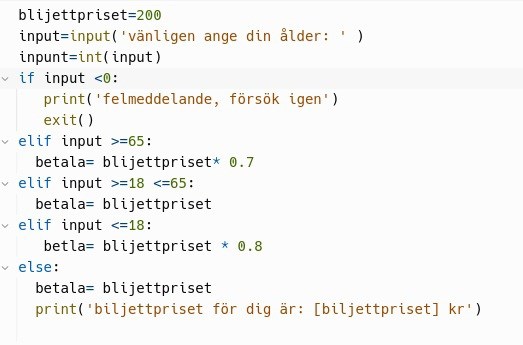 uppgift: Beräkna biljettpriset på bussbiljetter (Programmering/Python) – Pluggakuten