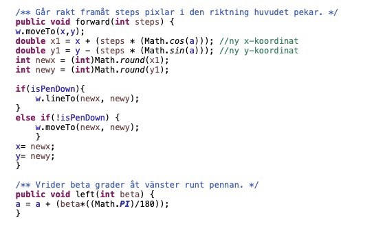 Kod-fel i klass Turtle (Programmering/Java) – Pluggakuten