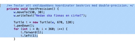 Kod-fel i klass Turtle (Programmering/Java) – Pluggakuten