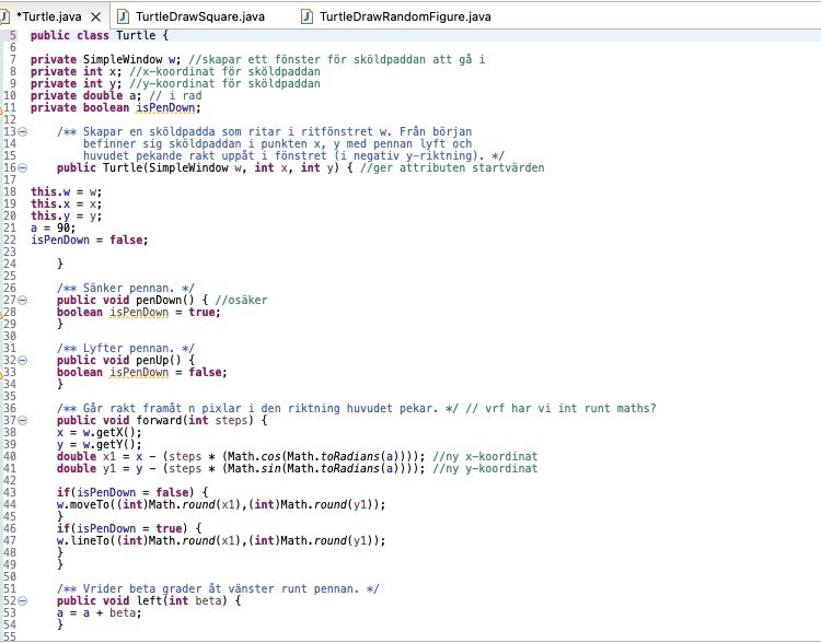Vad är fel med den metoden "forward" (I klassen Turtle)? (Programmering/Java) – Pluggakuten