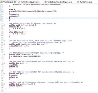 Kod-fel i klass Turtle (Programmering/Java) – Pluggakuten
