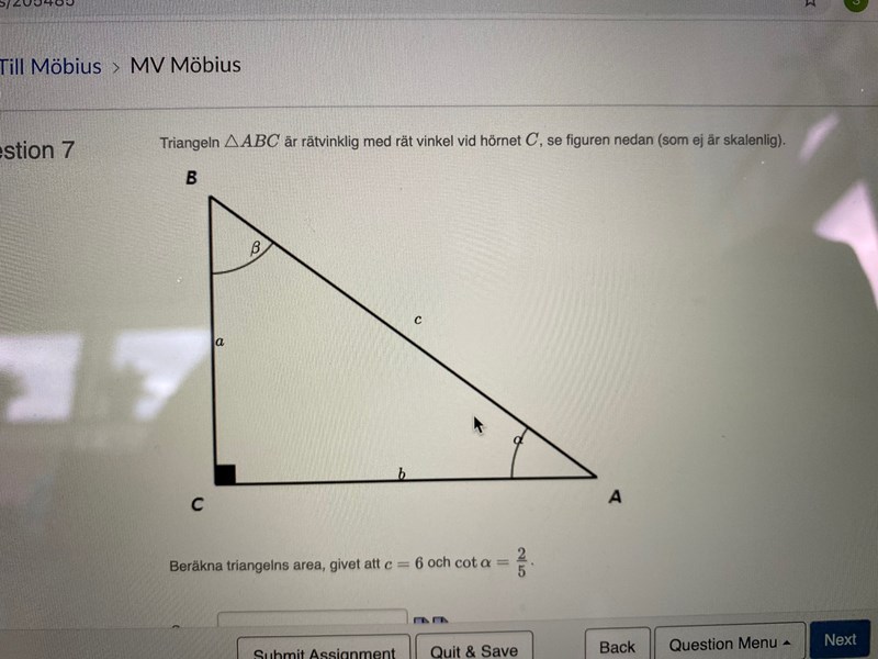 beräkna triangelns area 2 (Matematik/Matte 4) – Pluggakuten