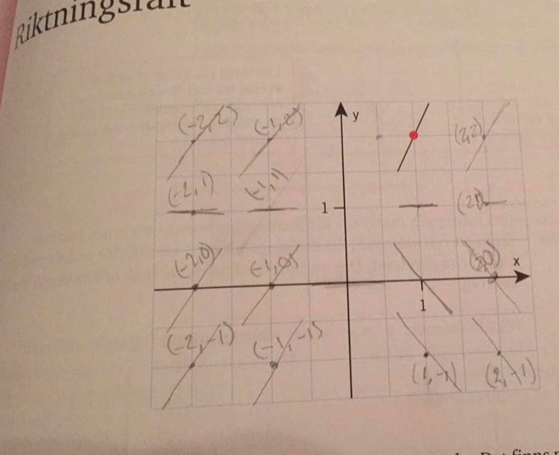 Matte 5 riktningsfält (Matematik/Matte 5/Differentialekvationer ...